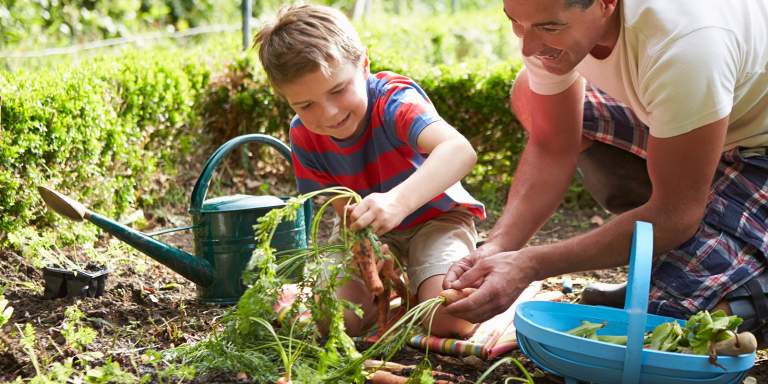 Calculator de castiguri